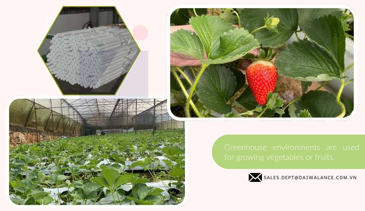 Super Color Pipe In Greenhouse Horticulture